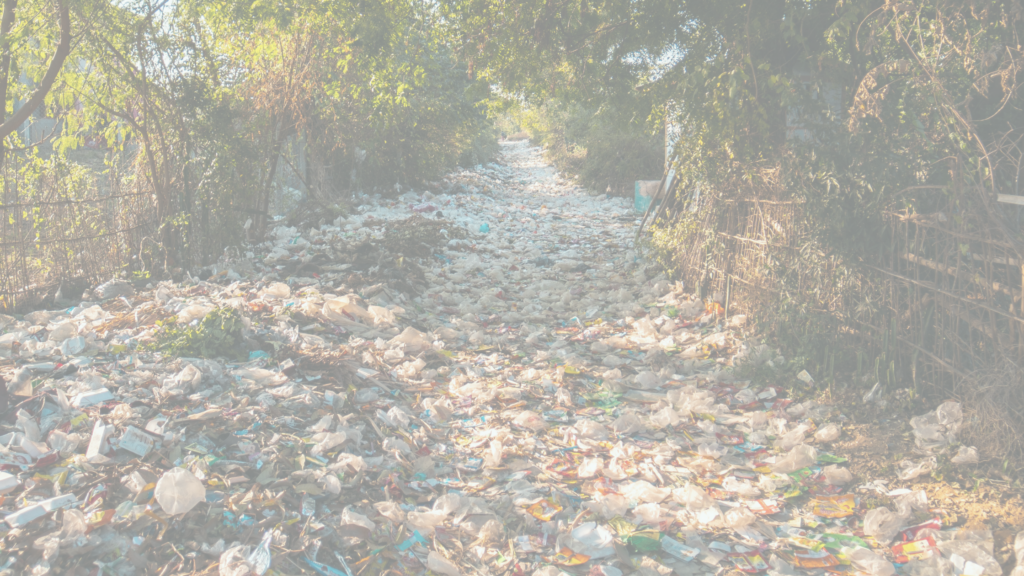 Waarom we plastic uit de zee vissen? - Goood Petfood